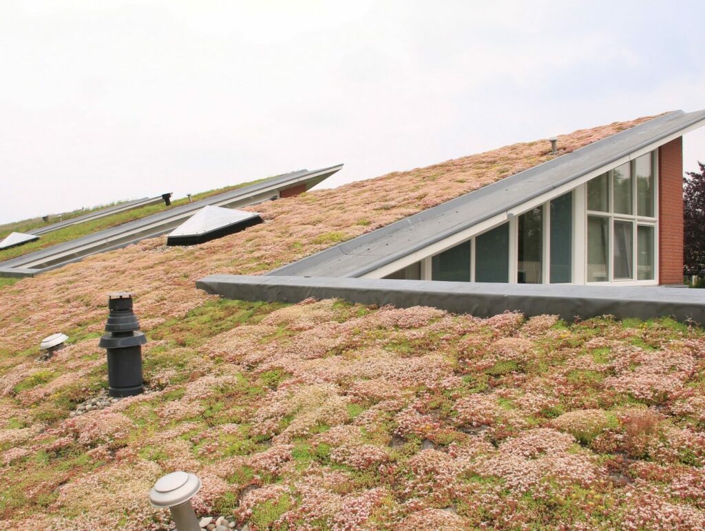 Earth Kweek – Voor de Groenste Groendaken